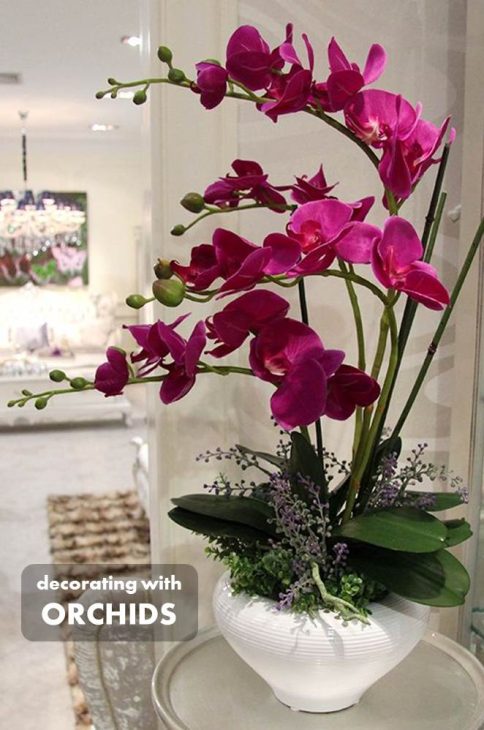 Secrets of decorating with orchids - Secretita