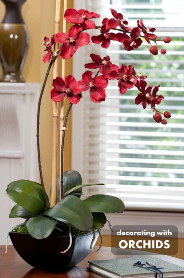 Secrets of decorating with orchids - Secretita
