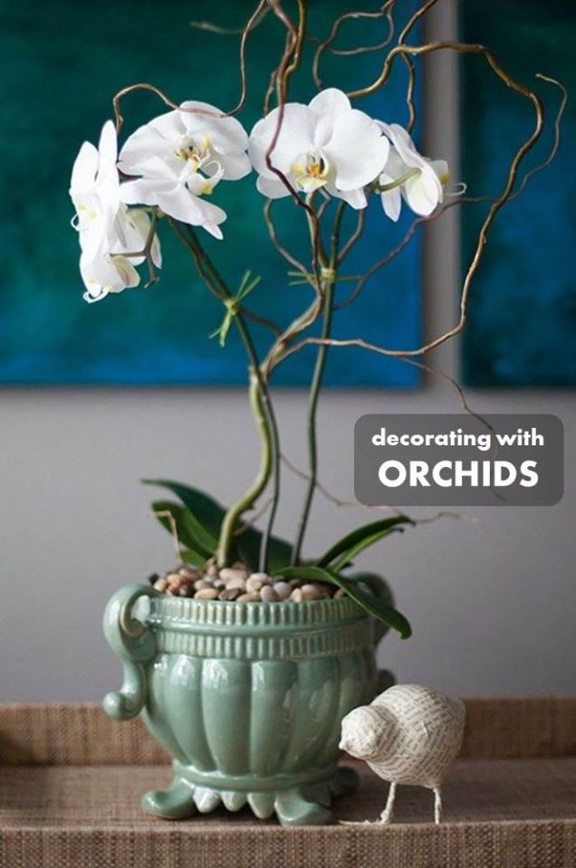 Secrets of decorating with orchids - Secretita