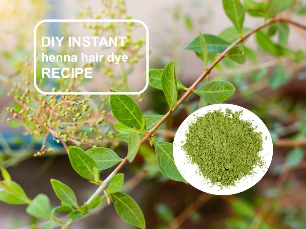 Instant DIY henna hair dye recipe - Secretita