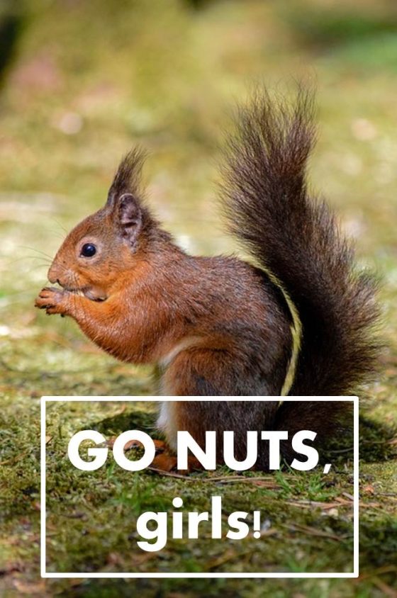 Go nuts, girls! - Secretita