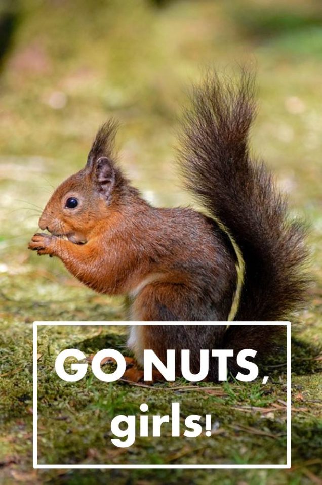 Go nuts, girls! - Secretita