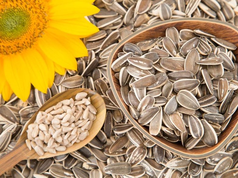 Food secrets of beautiful nails - Secretita